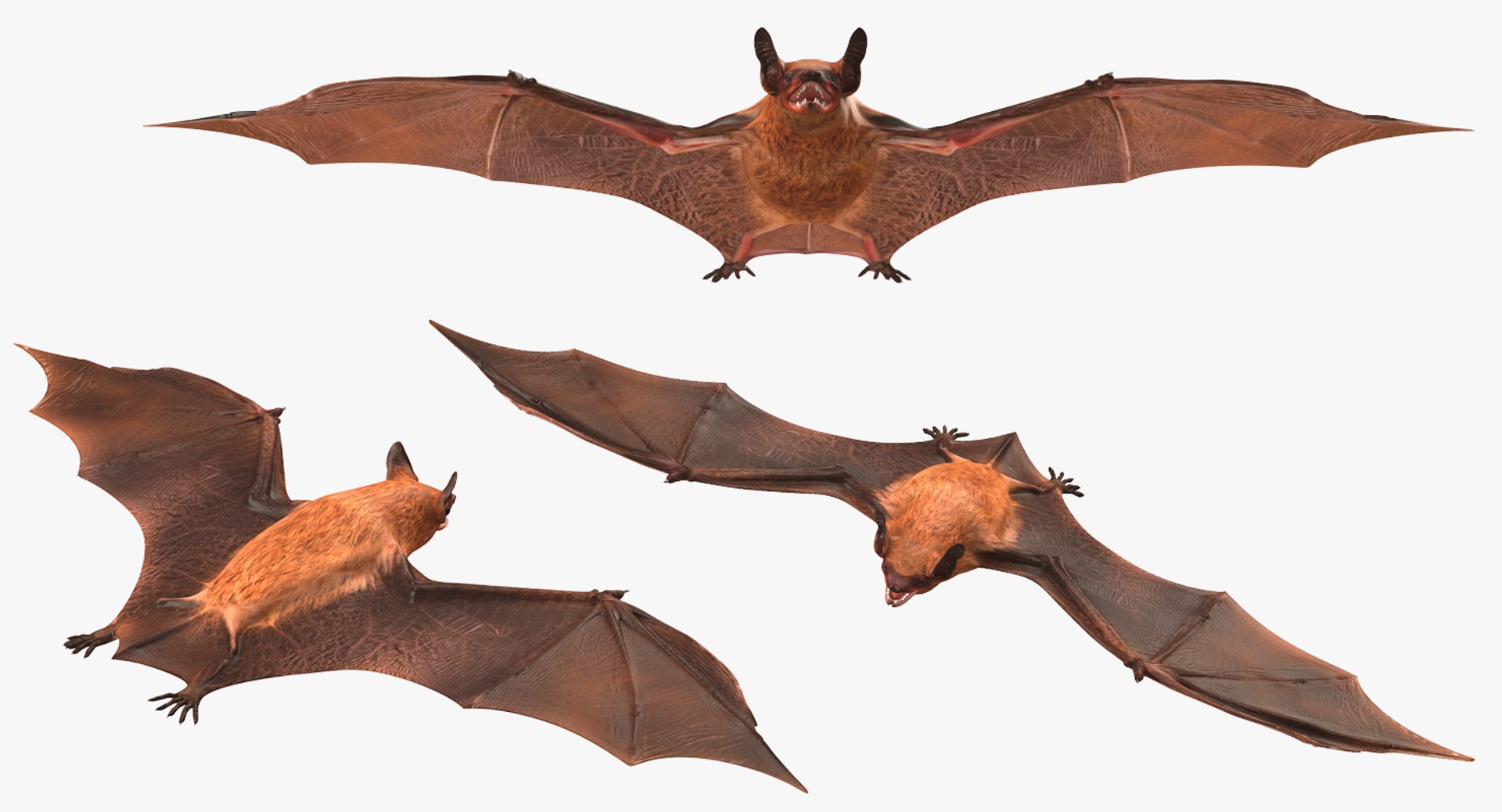 3ds bat realistic