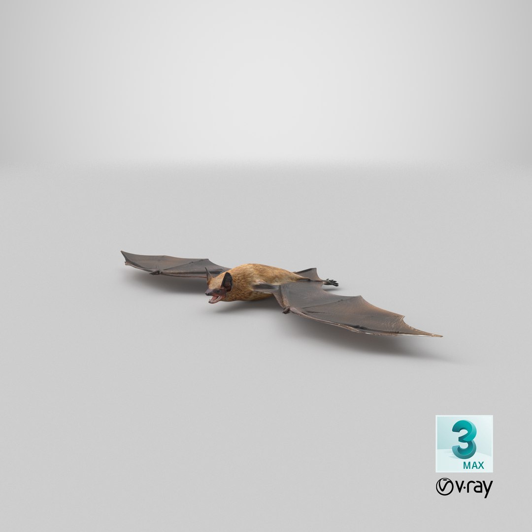 3ds Bat Realistic