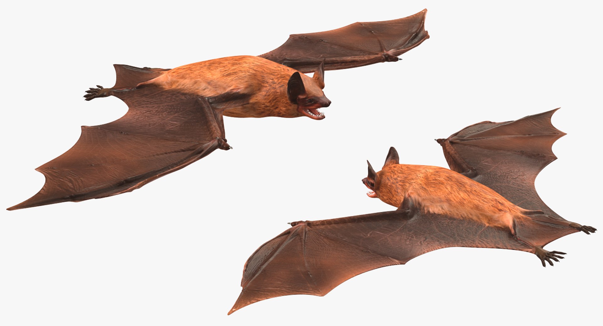 3ds bat realistic