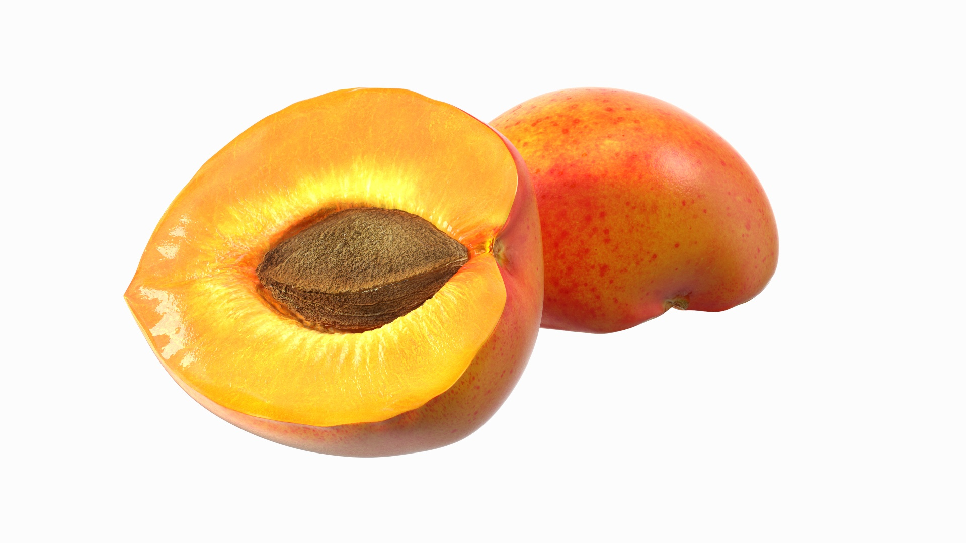 Fresh Apricot Cut 3D Model - TurboSquid 2115226