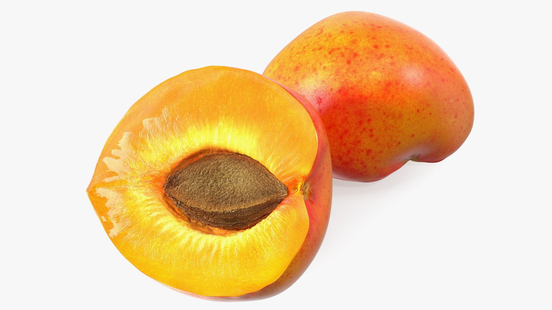 Fresh Apricot Cut 3D model - TurboSquid 2115226