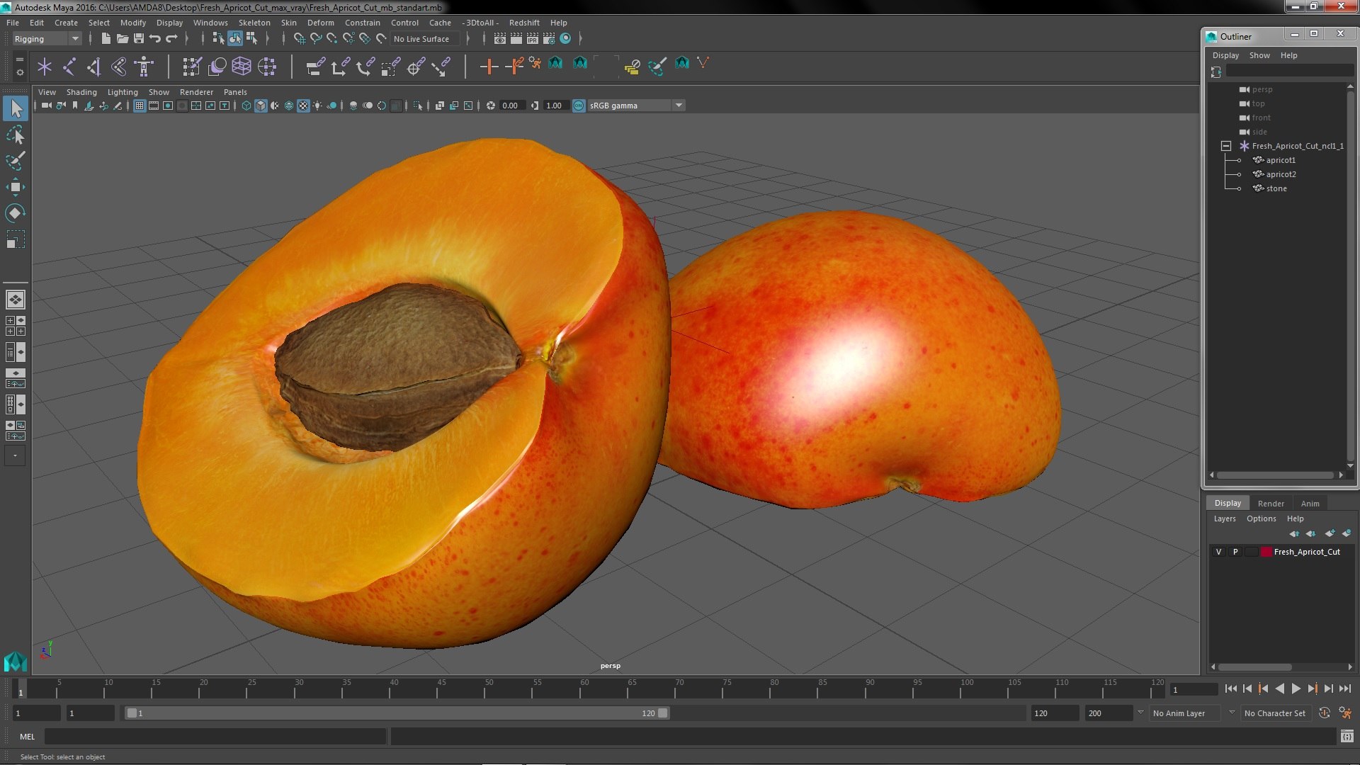 Fresh Apricot Cut 3D Model - TurboSquid 2115226