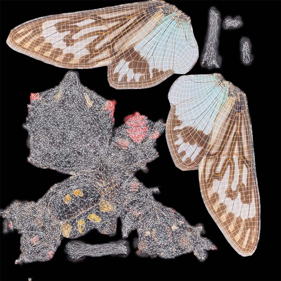 3D Model Tosena Splendida Burma Remastered - TurboSquid 2359787