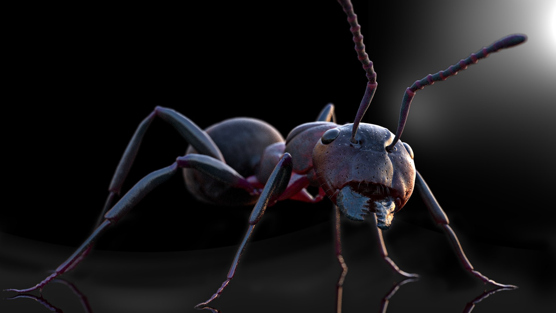 Ant 17 Model - TurboSquid 1811391