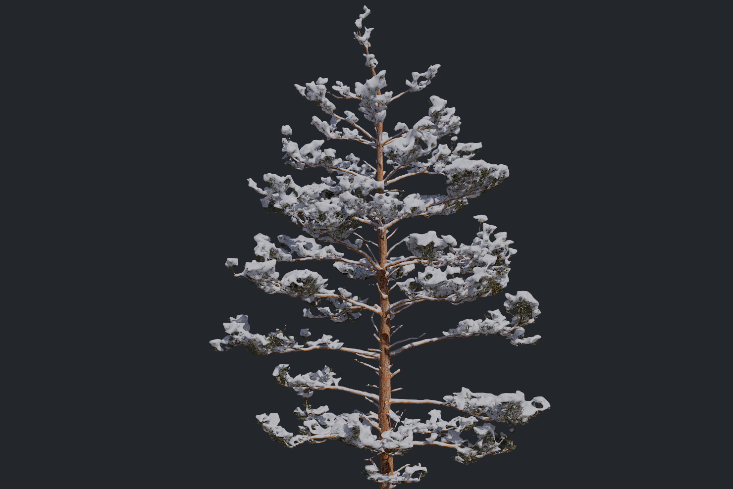 Winter pine tree pack 3D model - TurboSquid 1371614