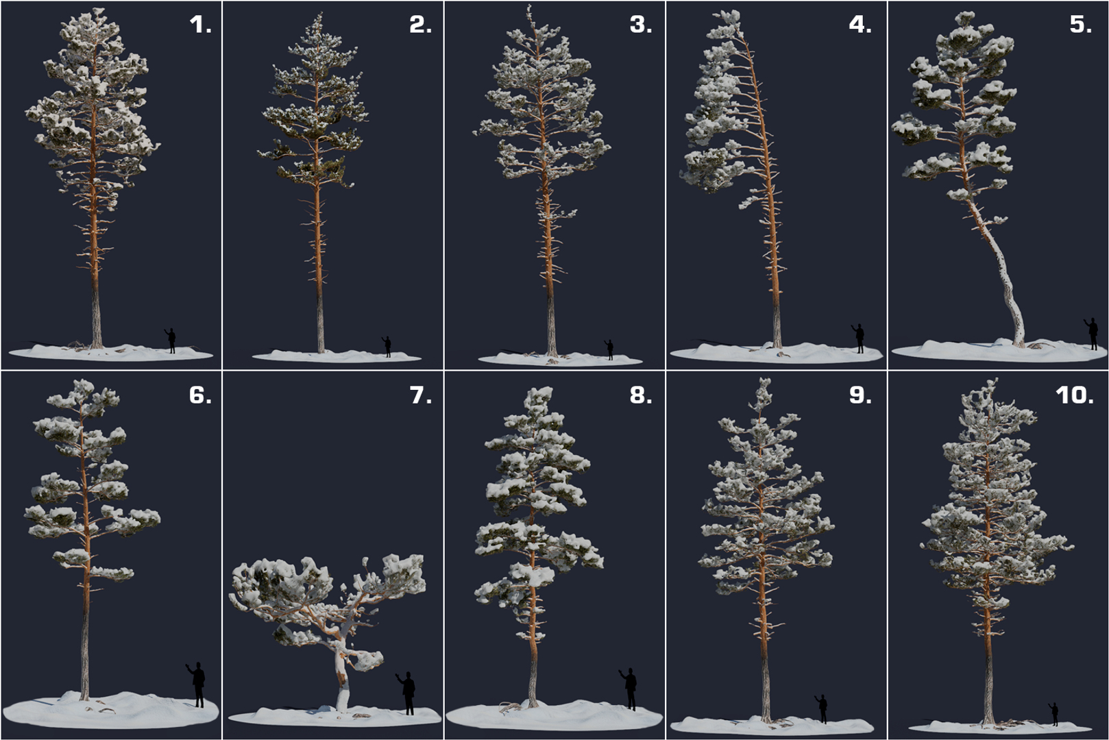 Winter pine tree pack 3D model - TurboSquid 1371614