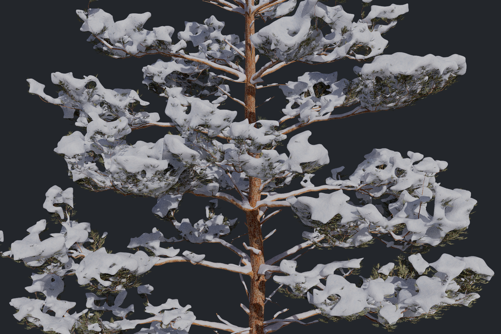 Winter pine tree pack 3D model - TurboSquid 1371614