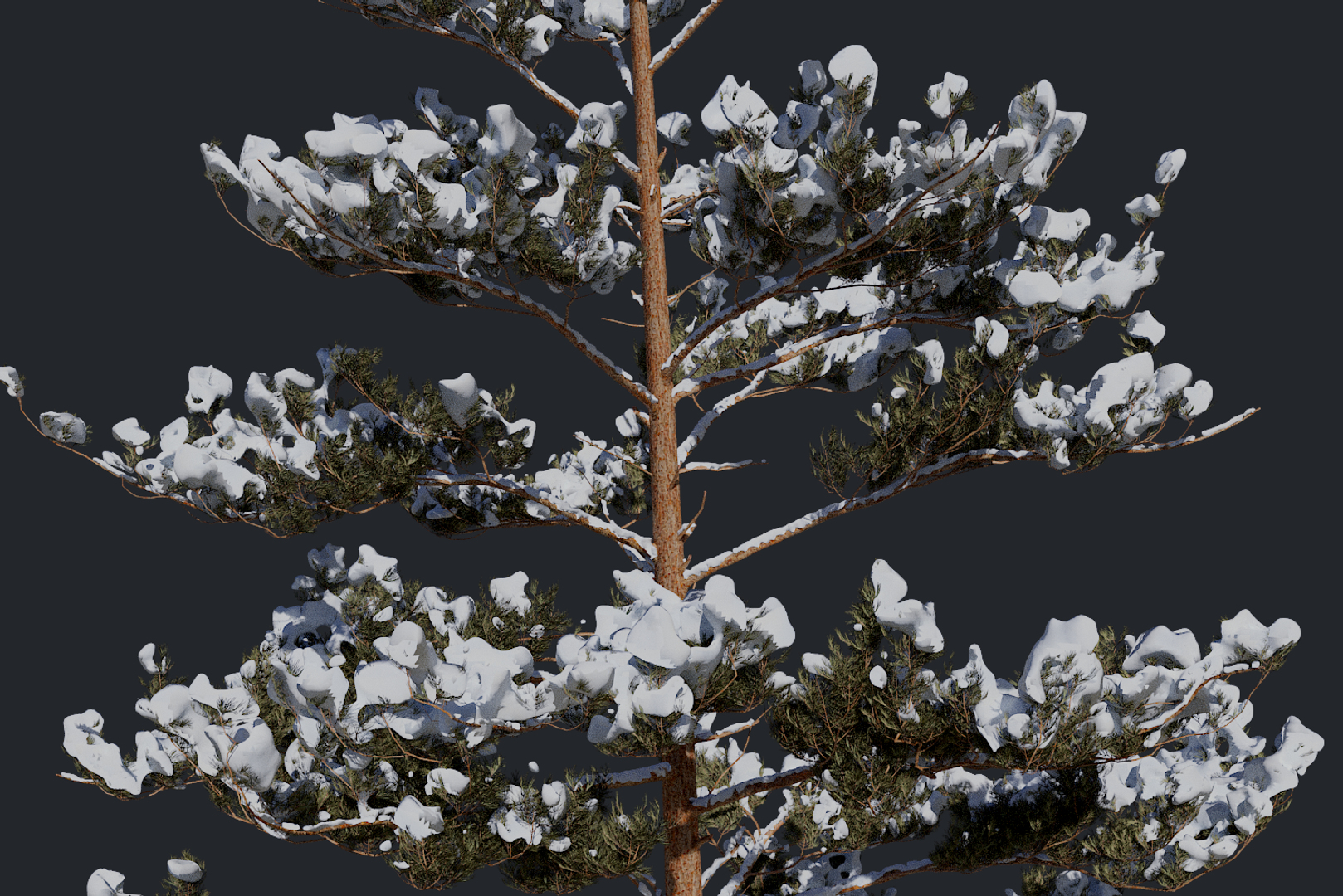 Winter pine tree pack 3D model - TurboSquid 1371614