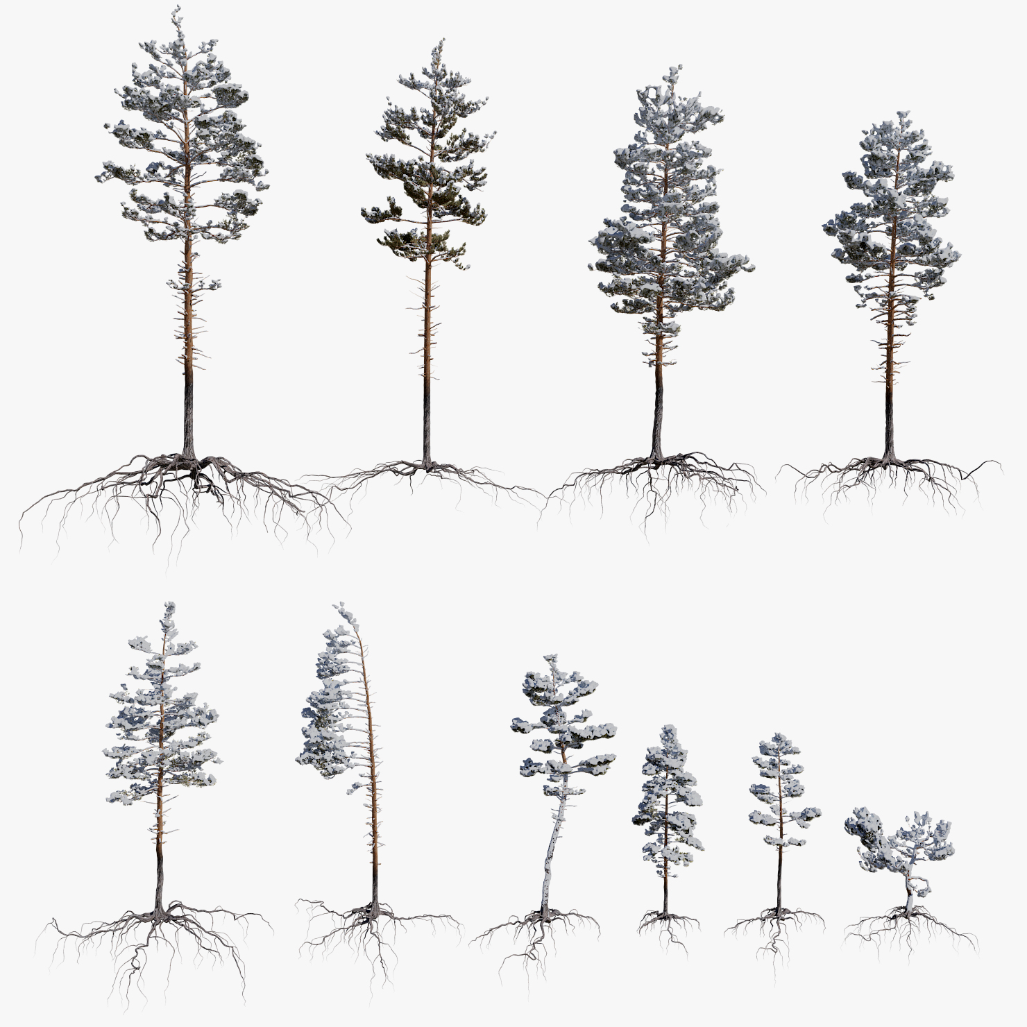Winter pine tree pack 3D model - TurboSquid 1371614