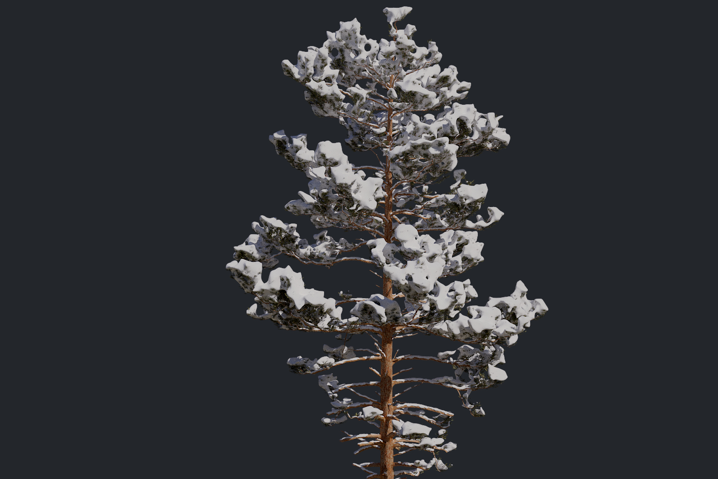 Winter pine tree pack 3D model - TurboSquid 1371614