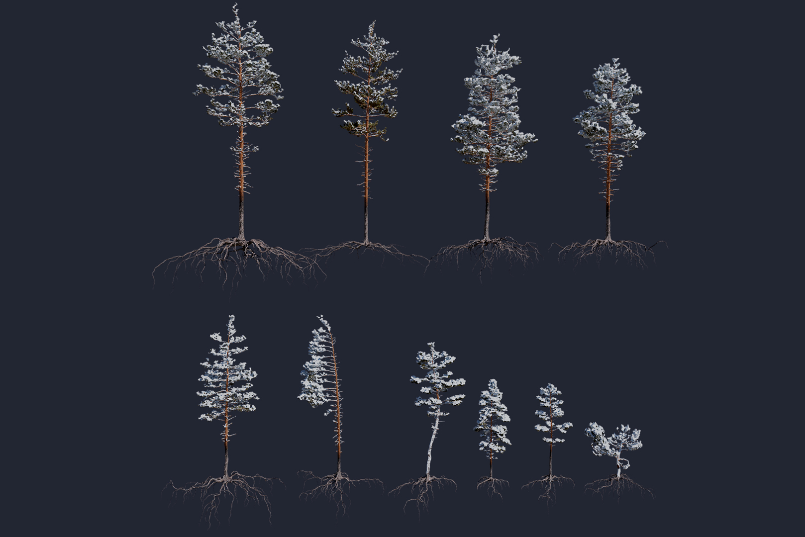Winter pine tree pack 3D model - TurboSquid 1371614