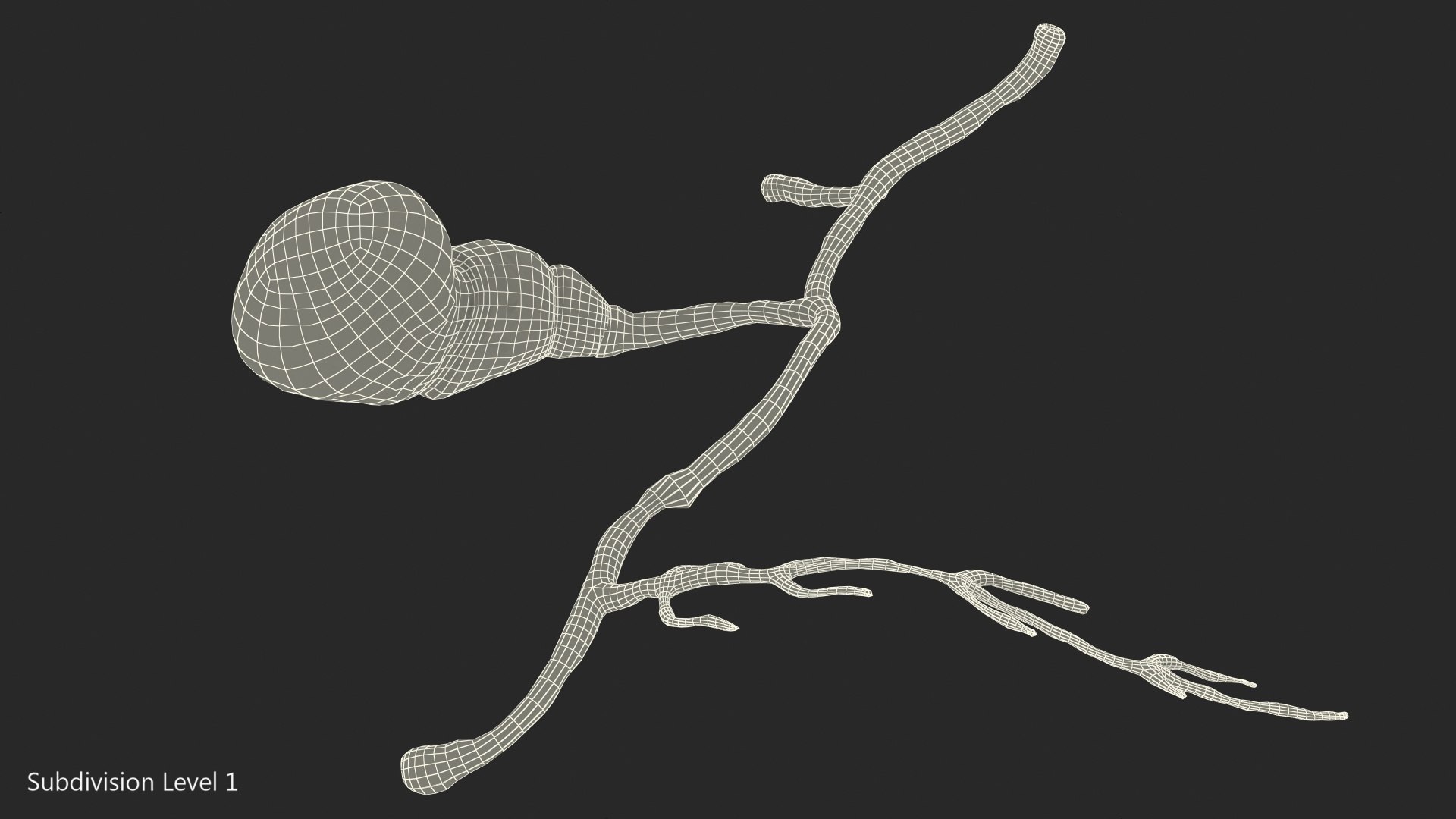 3D human gallbladder gall model - TurboSquid 1465089