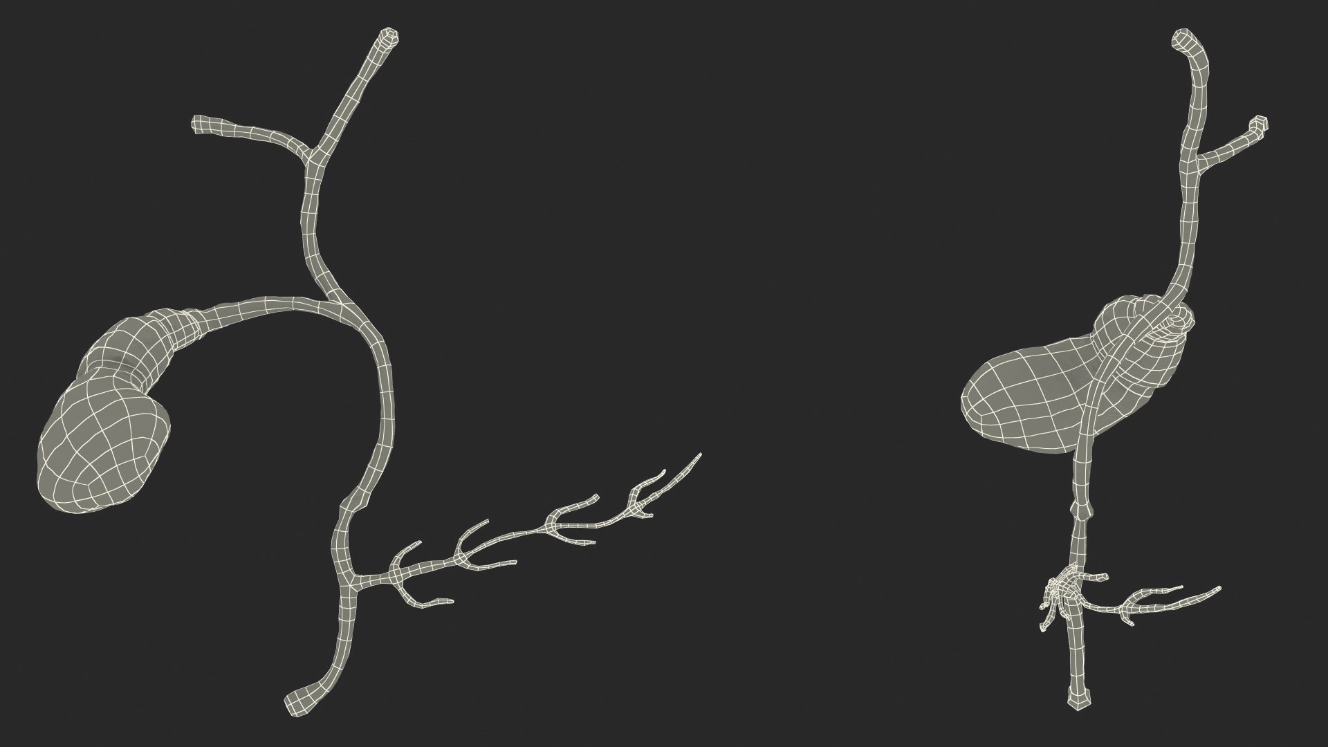 3D human gallbladder gall model - TurboSquid 1465089