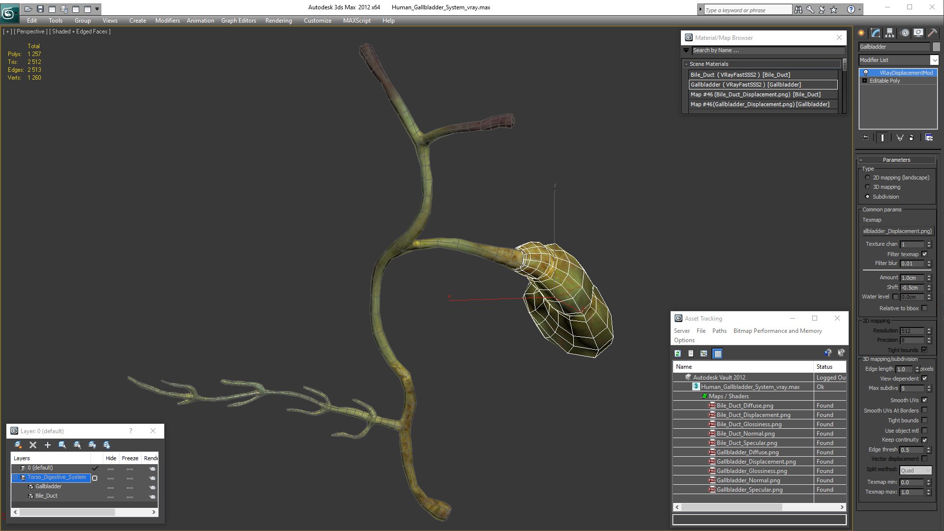 3D human gallbladder gall model - TurboSquid 1465089