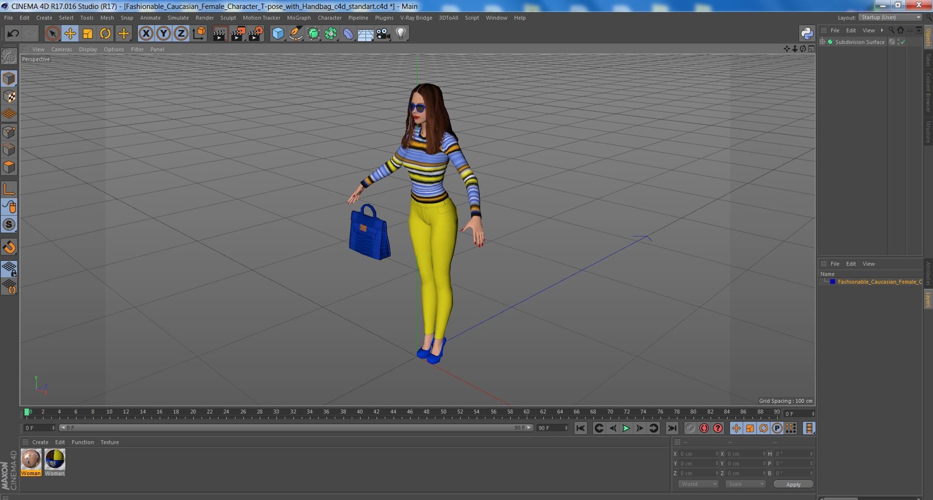 Fashionable Caucasian Female Character T-pose With Handbag Model ...