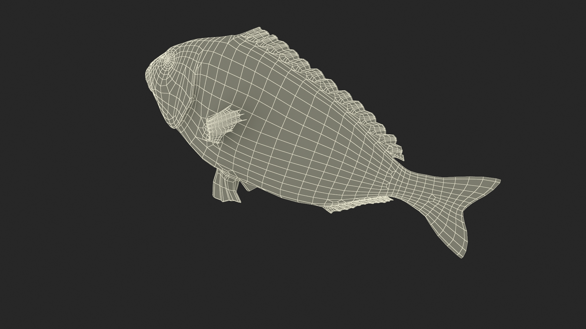 3D Model Gilt-head Sea Bream Fish Swimming - TurboSquid 2163452