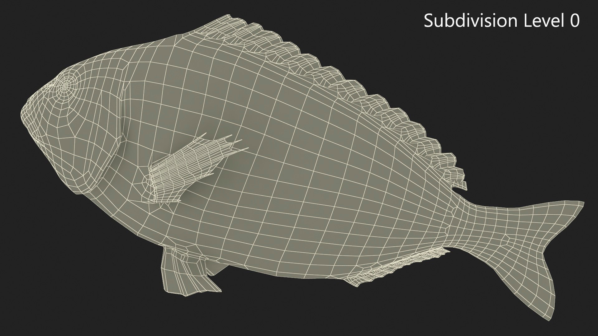 3D Model Gilt-head Sea Bream Fish Swimming - TurboSquid 2163452