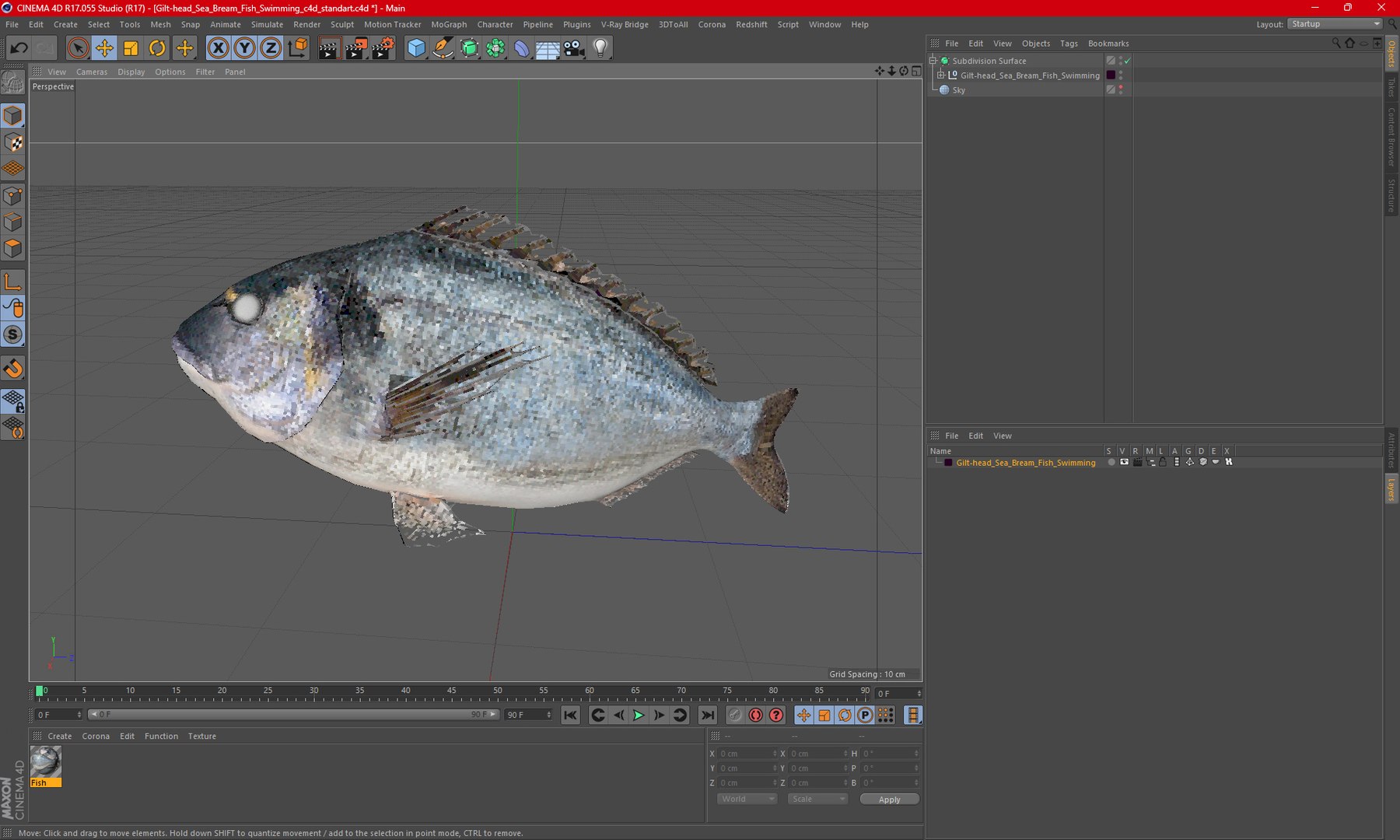 3D Model Gilt-head Sea Bream Fish Swimming - TurboSquid 2163452
