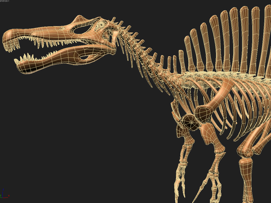 Skeleton spinosaurus model - TurboSquid 1228840