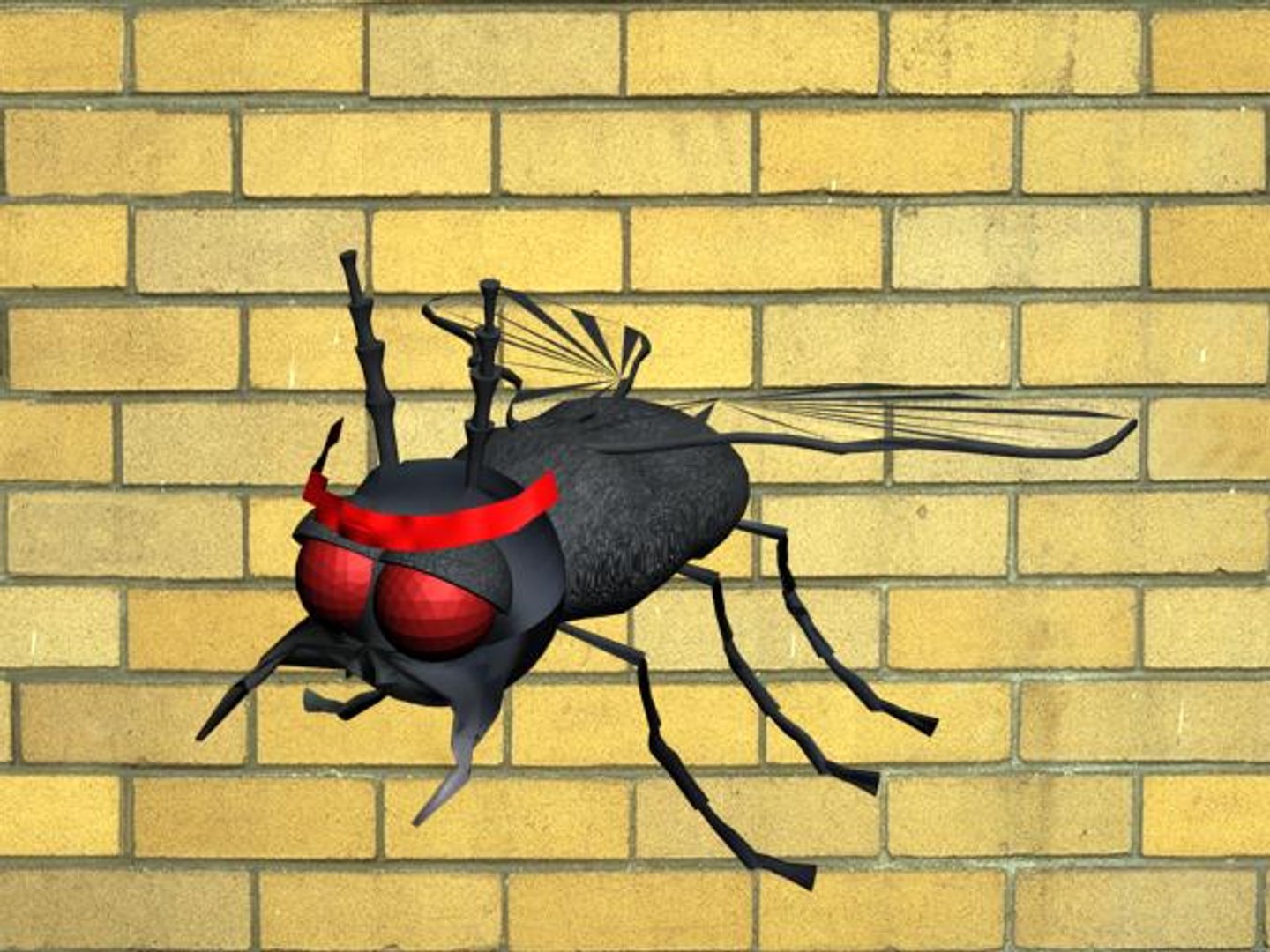 3d fly animation