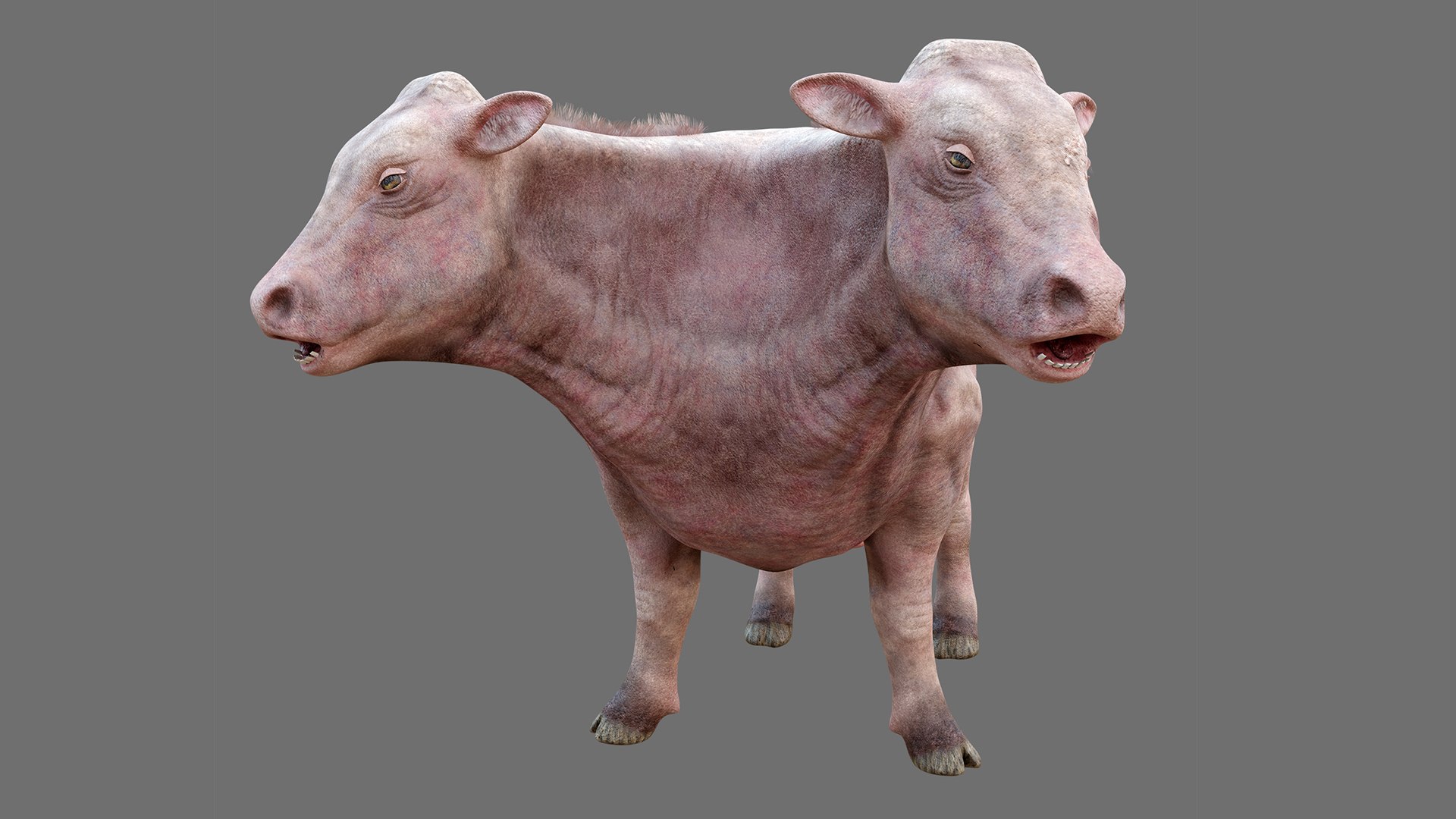 Cow fantasy pbr model - TurboSquid 1624668