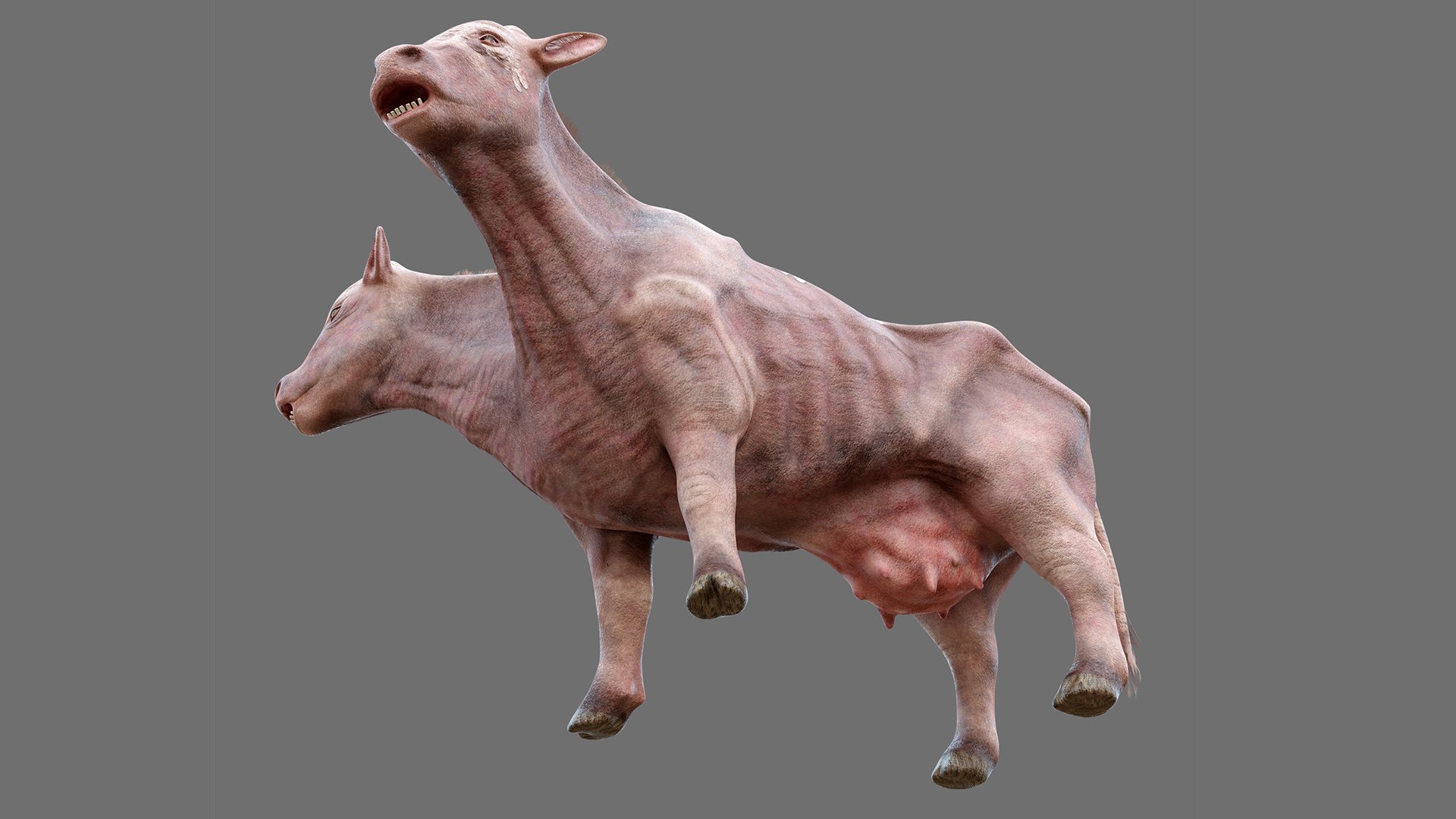 Cow fantasy pbr model - TurboSquid 1624668