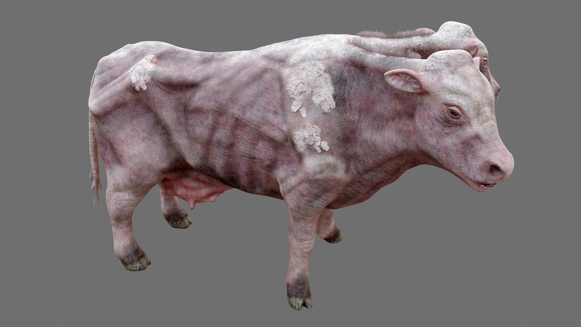 Cow fantasy pbr model - TurboSquid 1624668