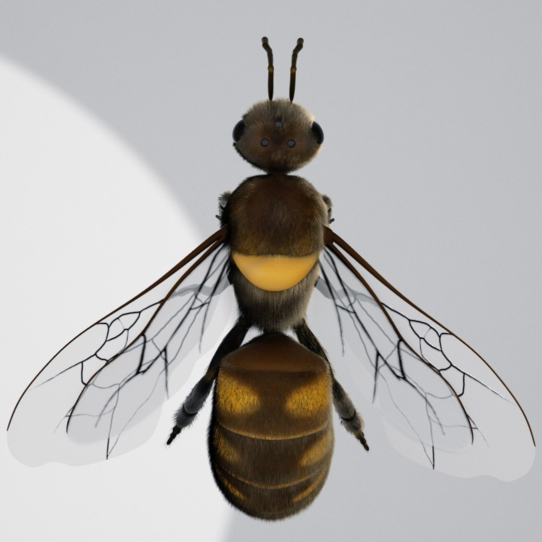 3ds Bee Modelled