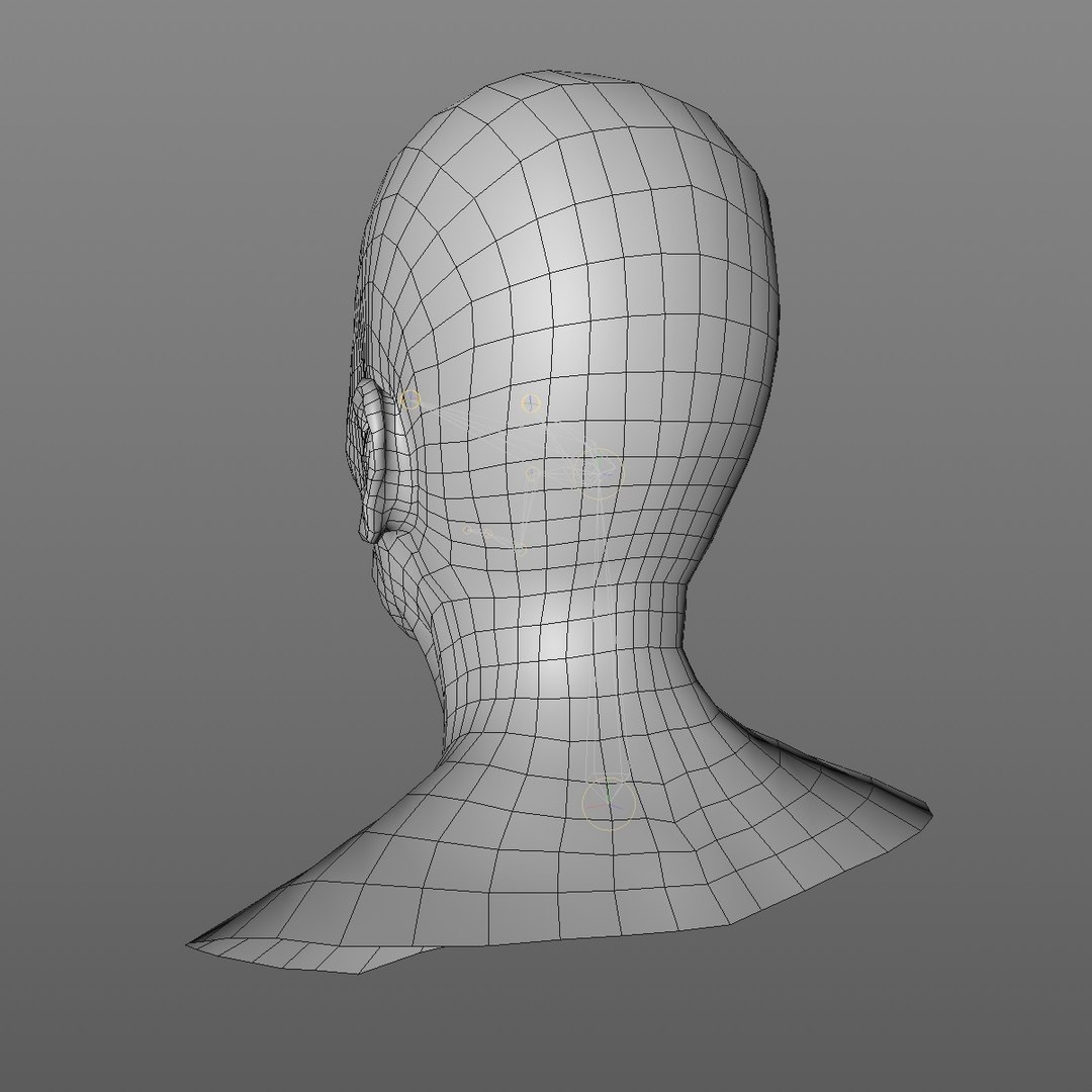 Realistic Head Base Mesh Model - TurboSquid 1439691