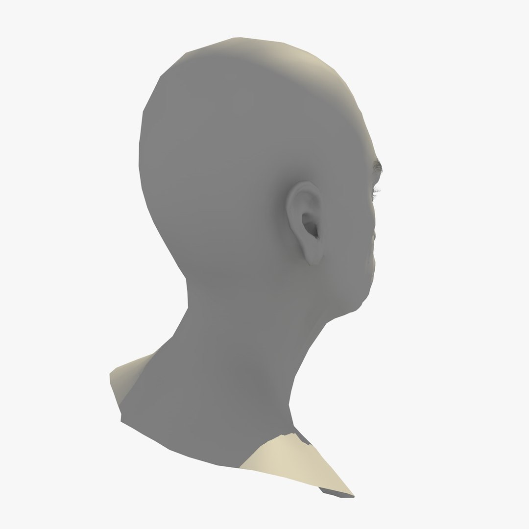 Realistic Head Base Mesh Model - TurboSquid 1439691