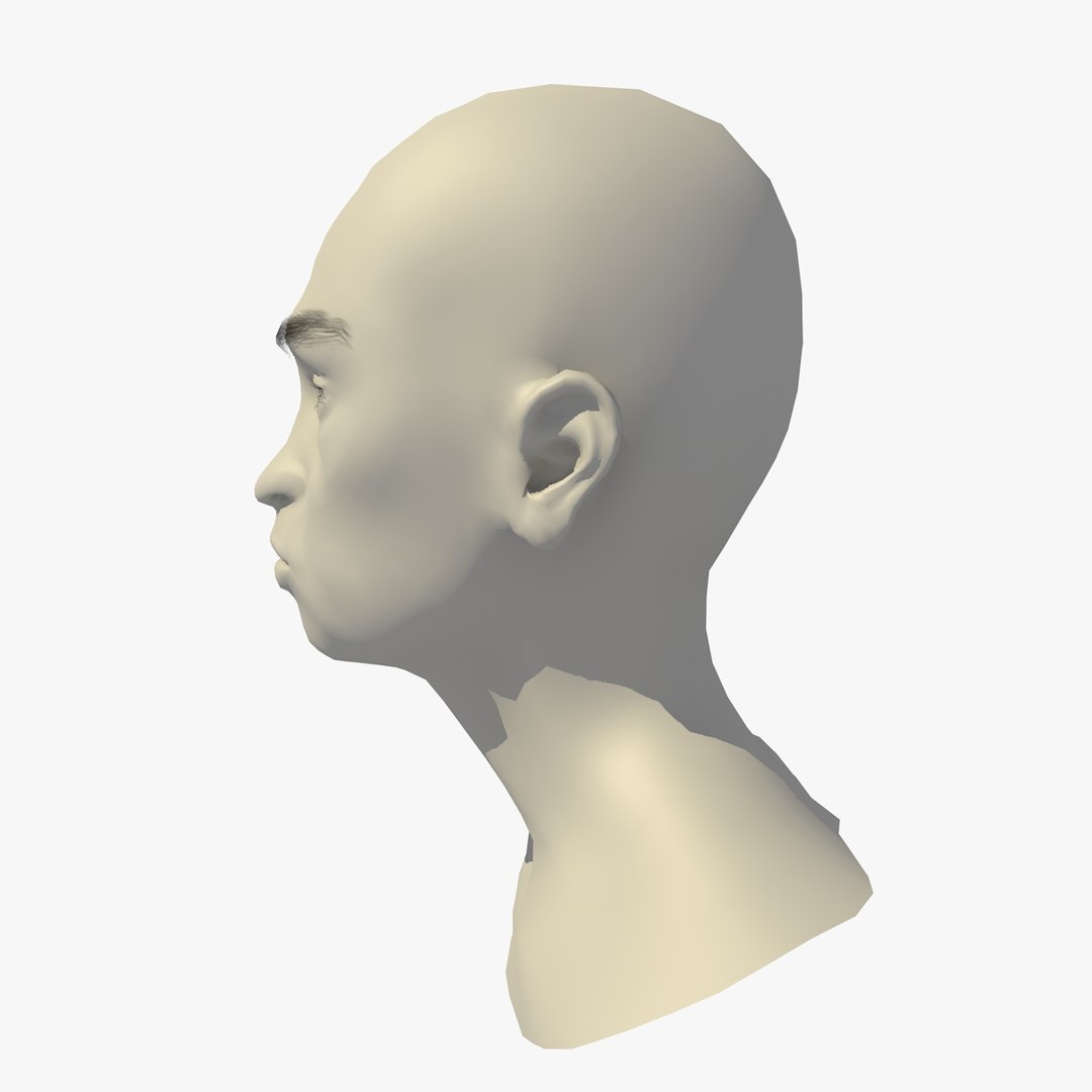Realistic Head Base Mesh Model - TurboSquid 1439691