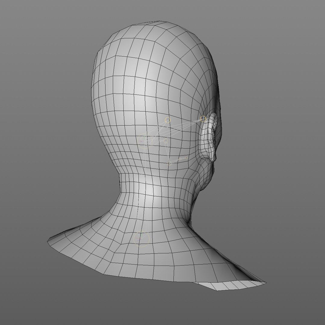 Realistic Head Base Mesh Model - TurboSquid 1439691