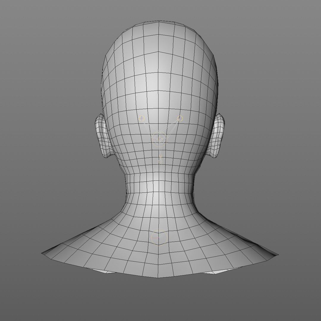 Realistic Head Base Mesh Model - TurboSquid 1439691