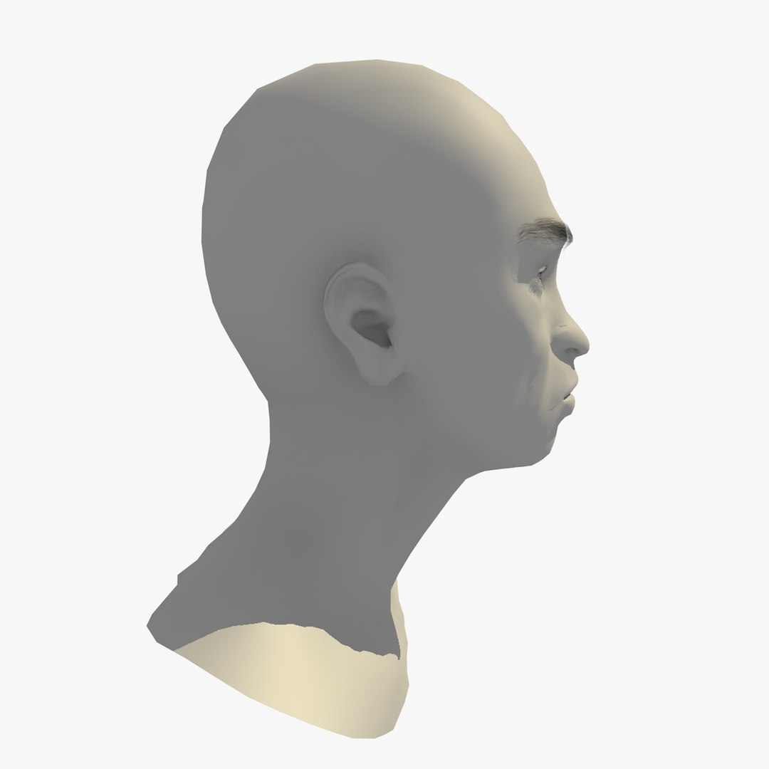 Realistic Head Base Mesh Model - TurboSquid 1439691