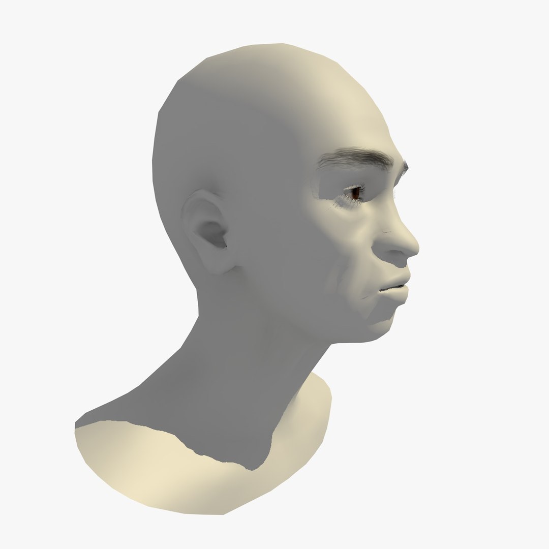 Realistic Head Base Mesh Model - TurboSquid 1439691
