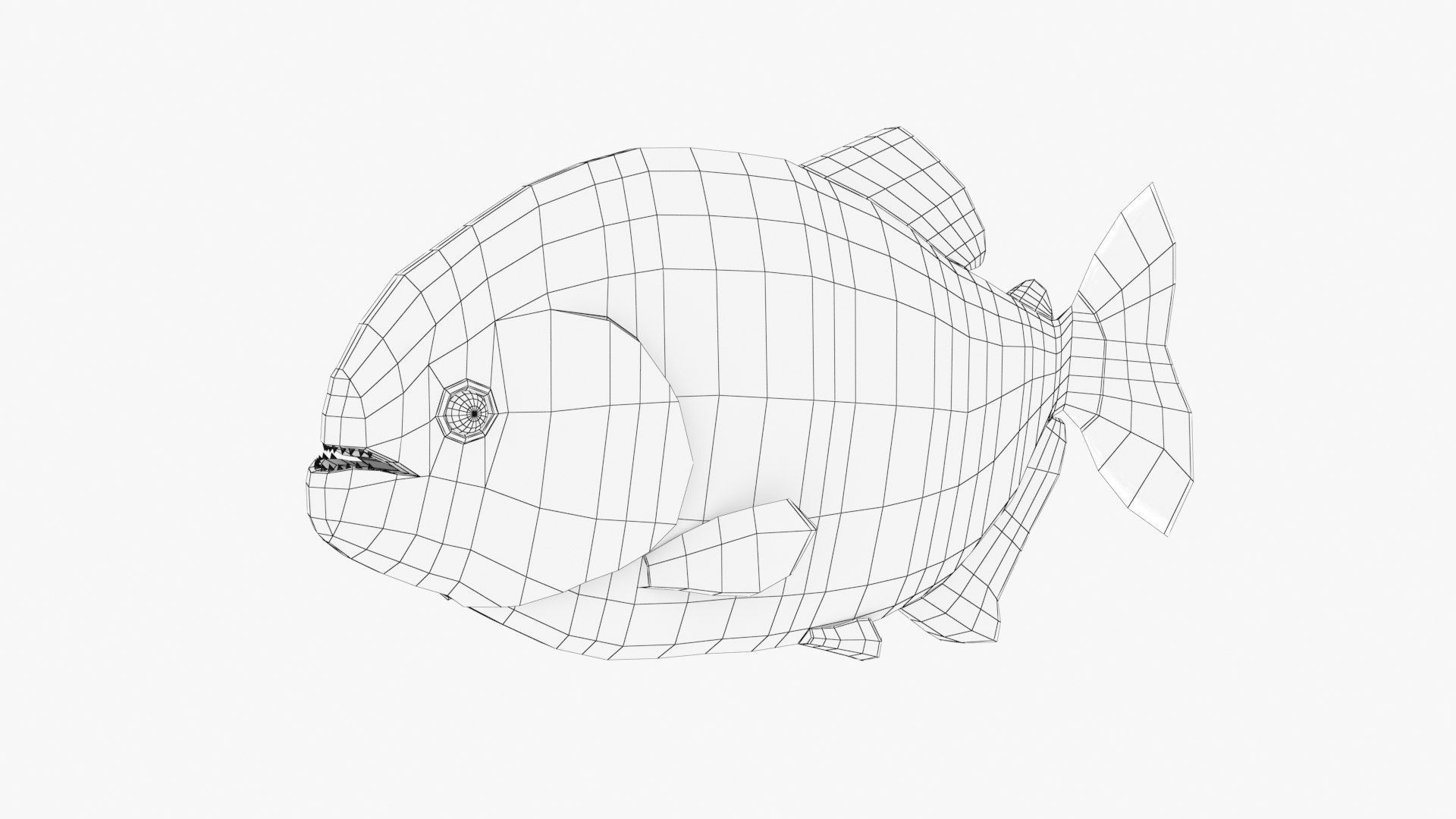Red Belly Piranha 3D Model - TurboSquid 2072785