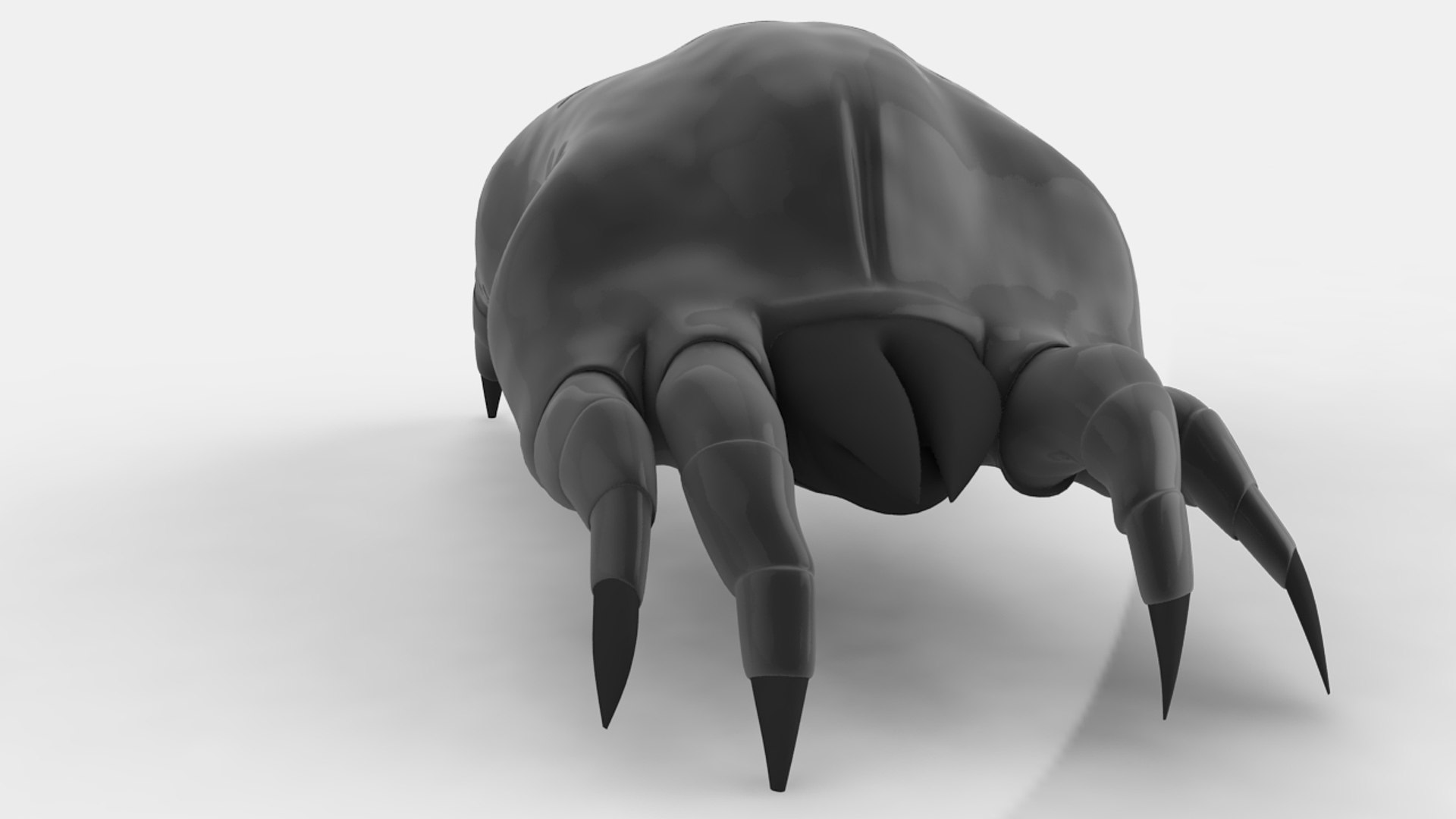 3d Mite