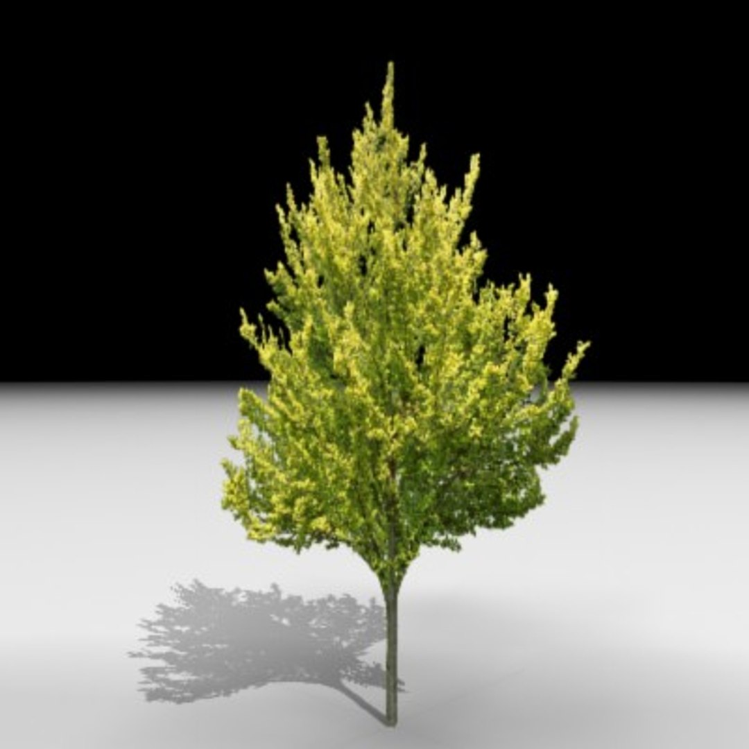 tree j3d max