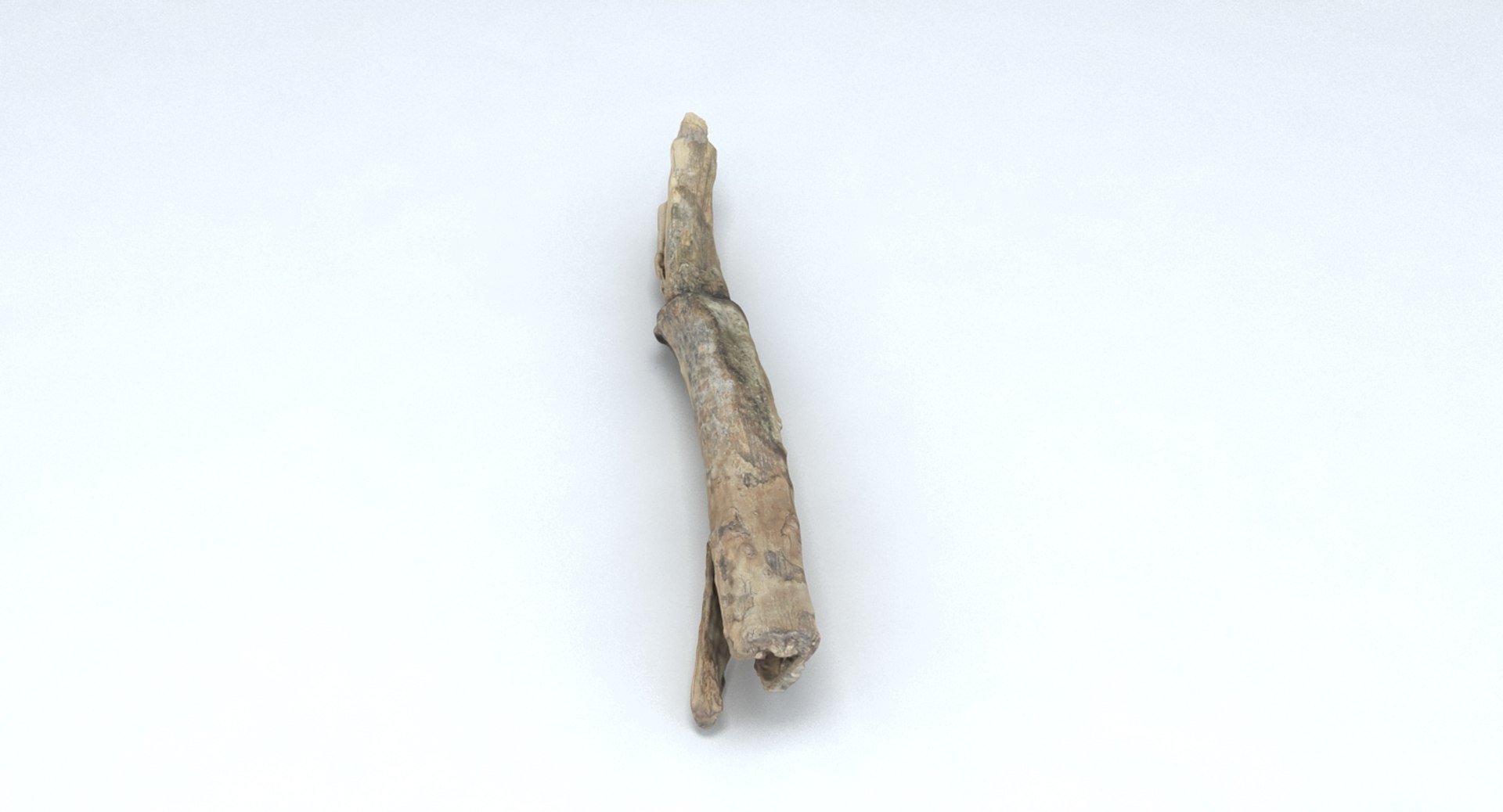 3D Photorealistic Stick - TurboSquid 1211065