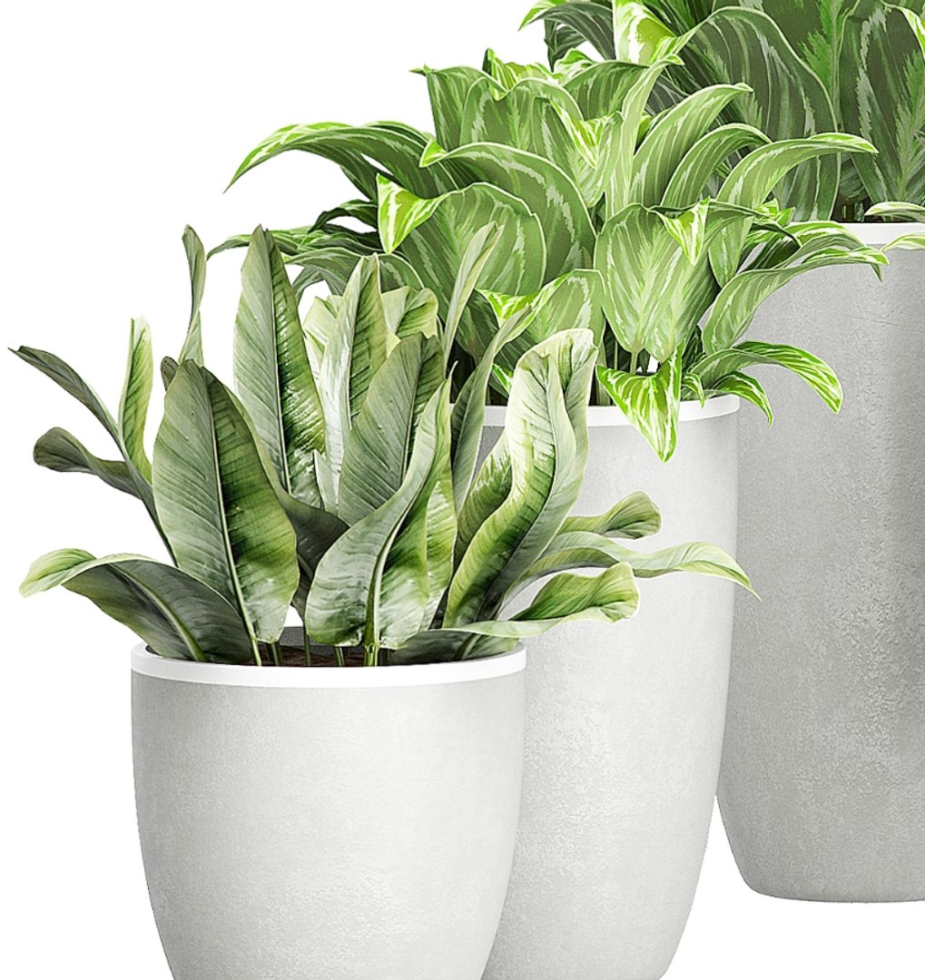 3D flower pack 100 model - TurboSquid 1631561