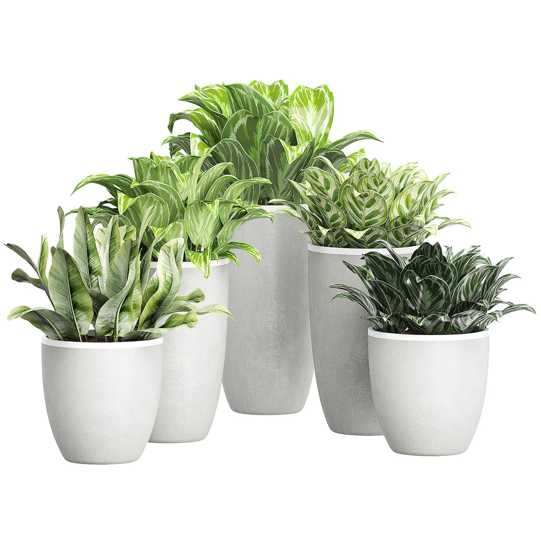 3D flower pack 100 model - TurboSquid 1631561