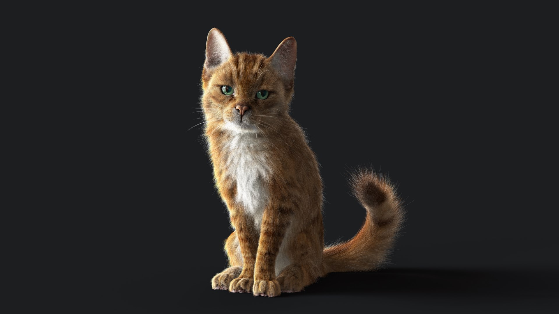 Cat Orange Tabby RIG - YETI Version 3D Model - TurboSquid 2116990