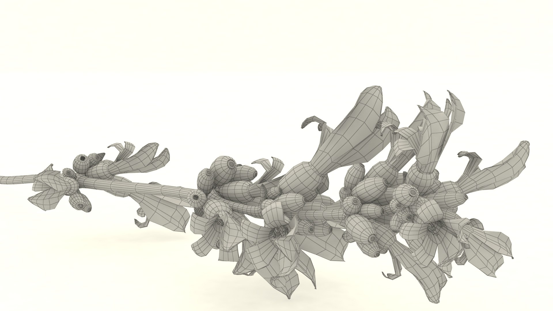 3D Model Plant Lavender Flower Spices - TurboSquid 1695841