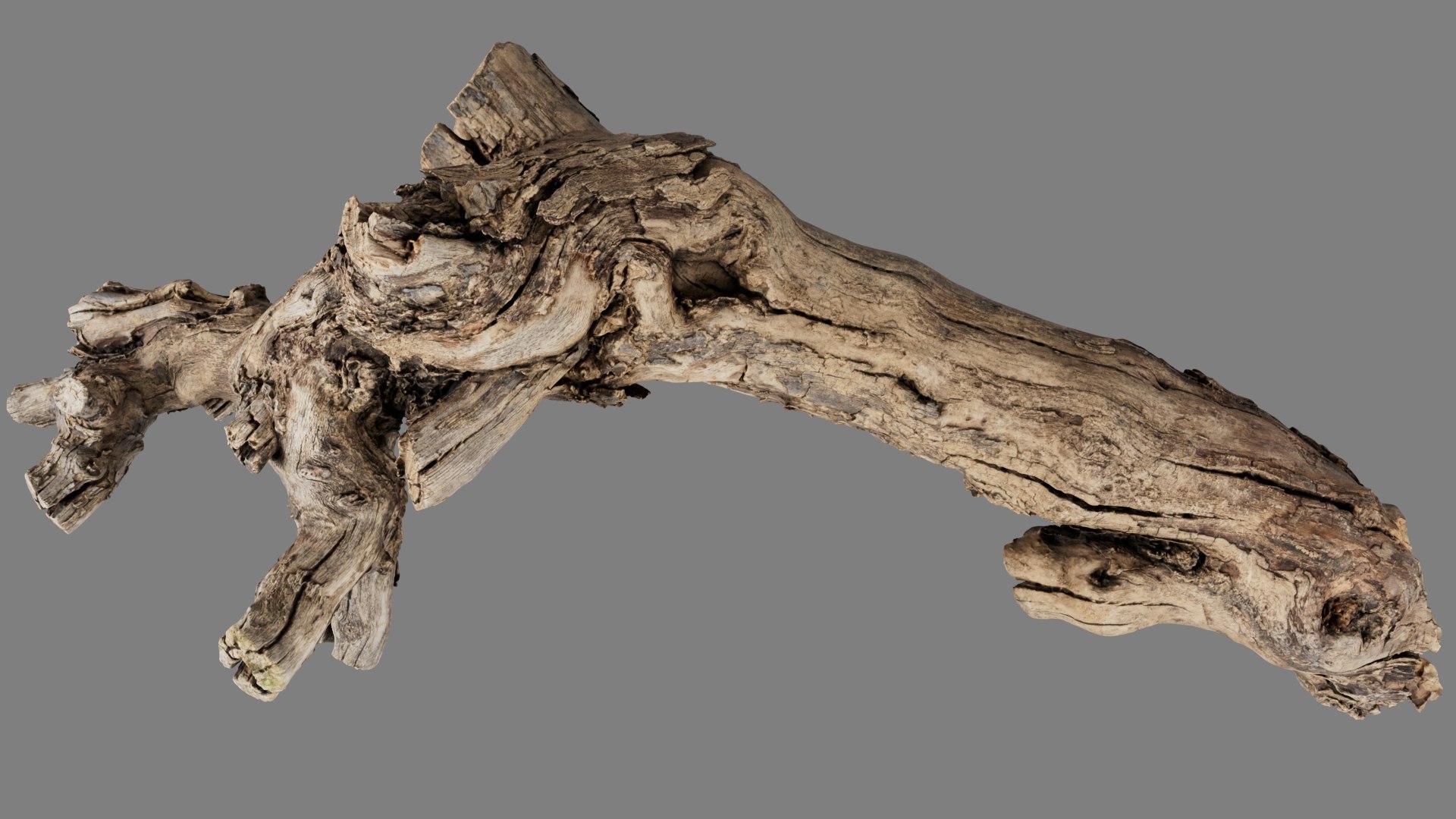 Grapevine Bark 3D Scanned 04 3D Model - TurboSquid 1948497