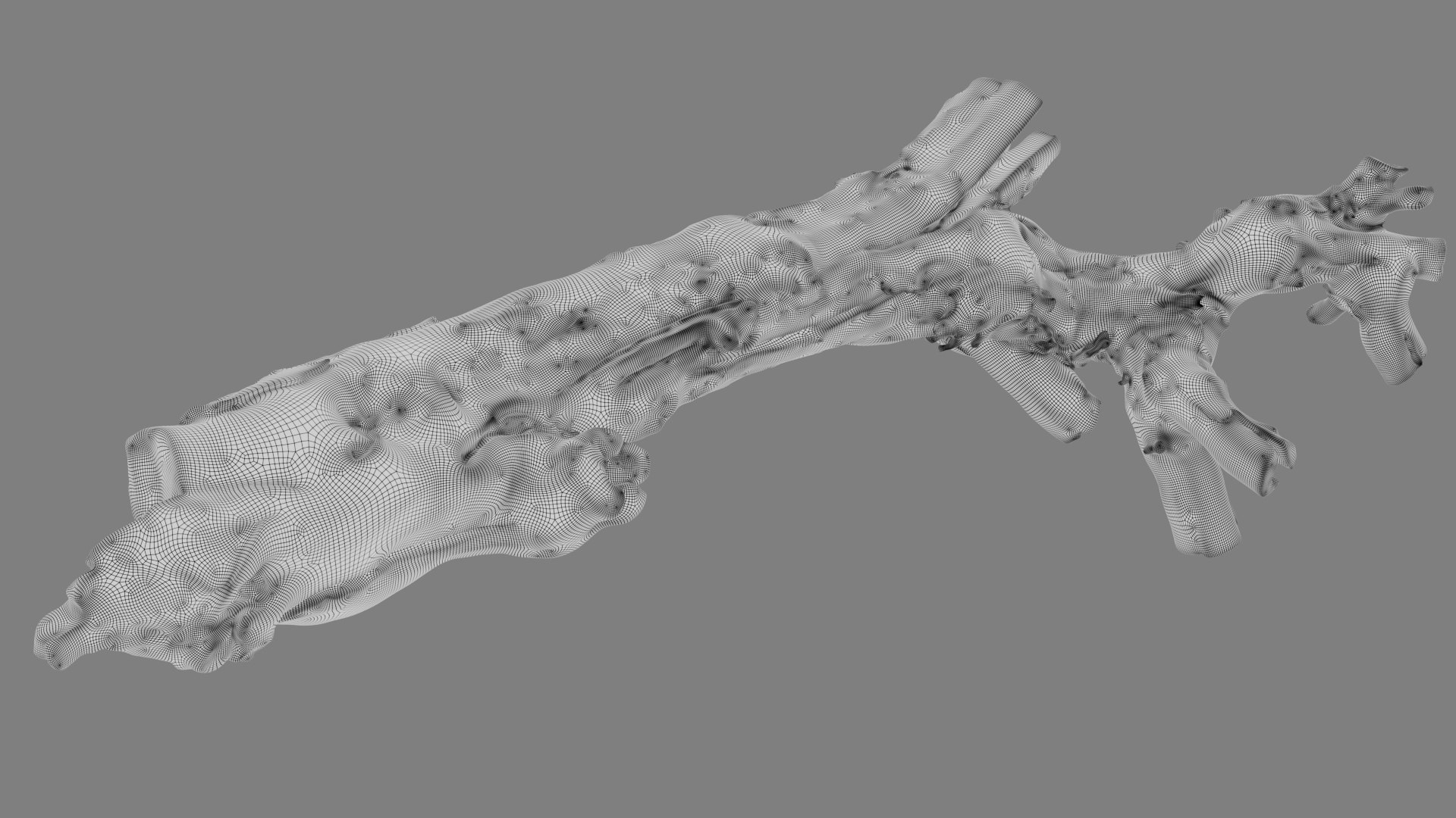 Grapevine Bark 3D Scanned 04 3D Model - TurboSquid 1948497