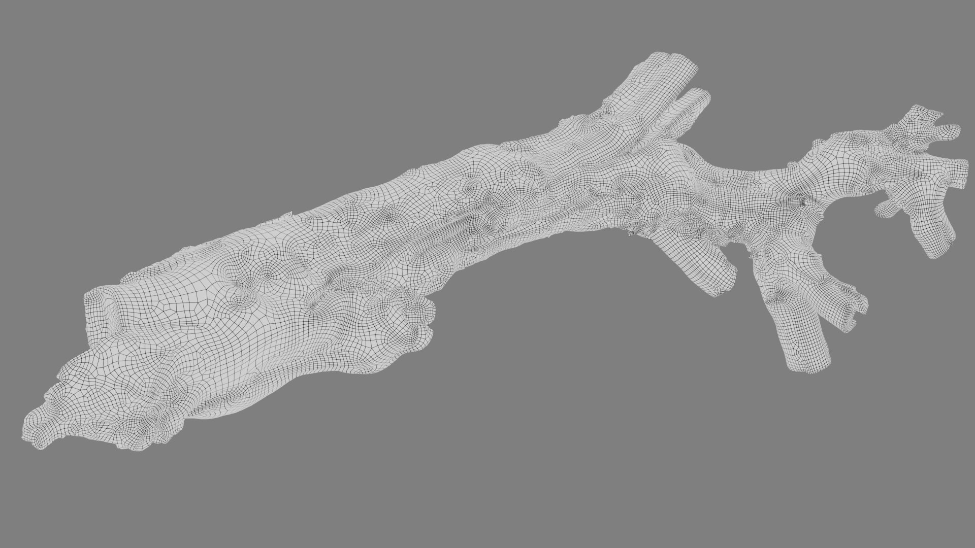 Grapevine Bark 3D Scanned 04 3D Model - TurboSquid 1948497
