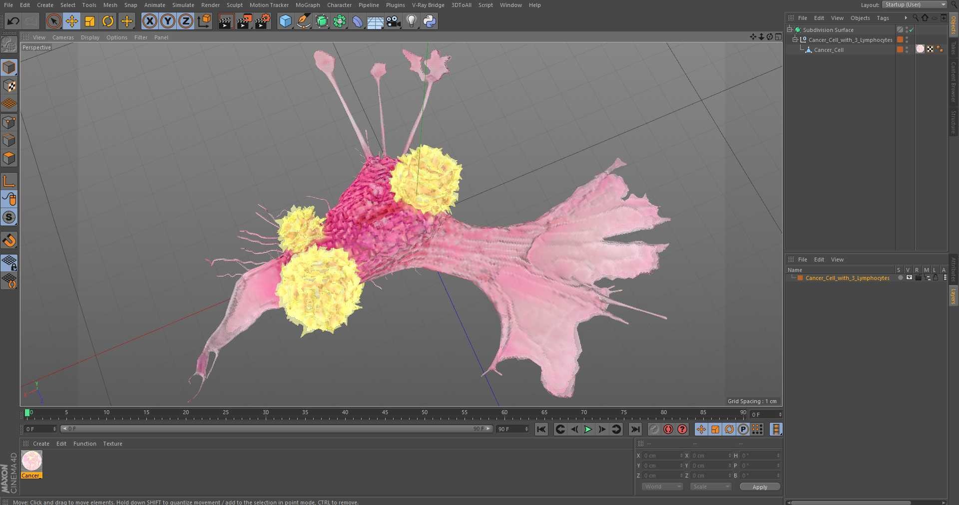 3D Model Cancer Cell With 3 Lymphocytes - TurboSquid 2220935