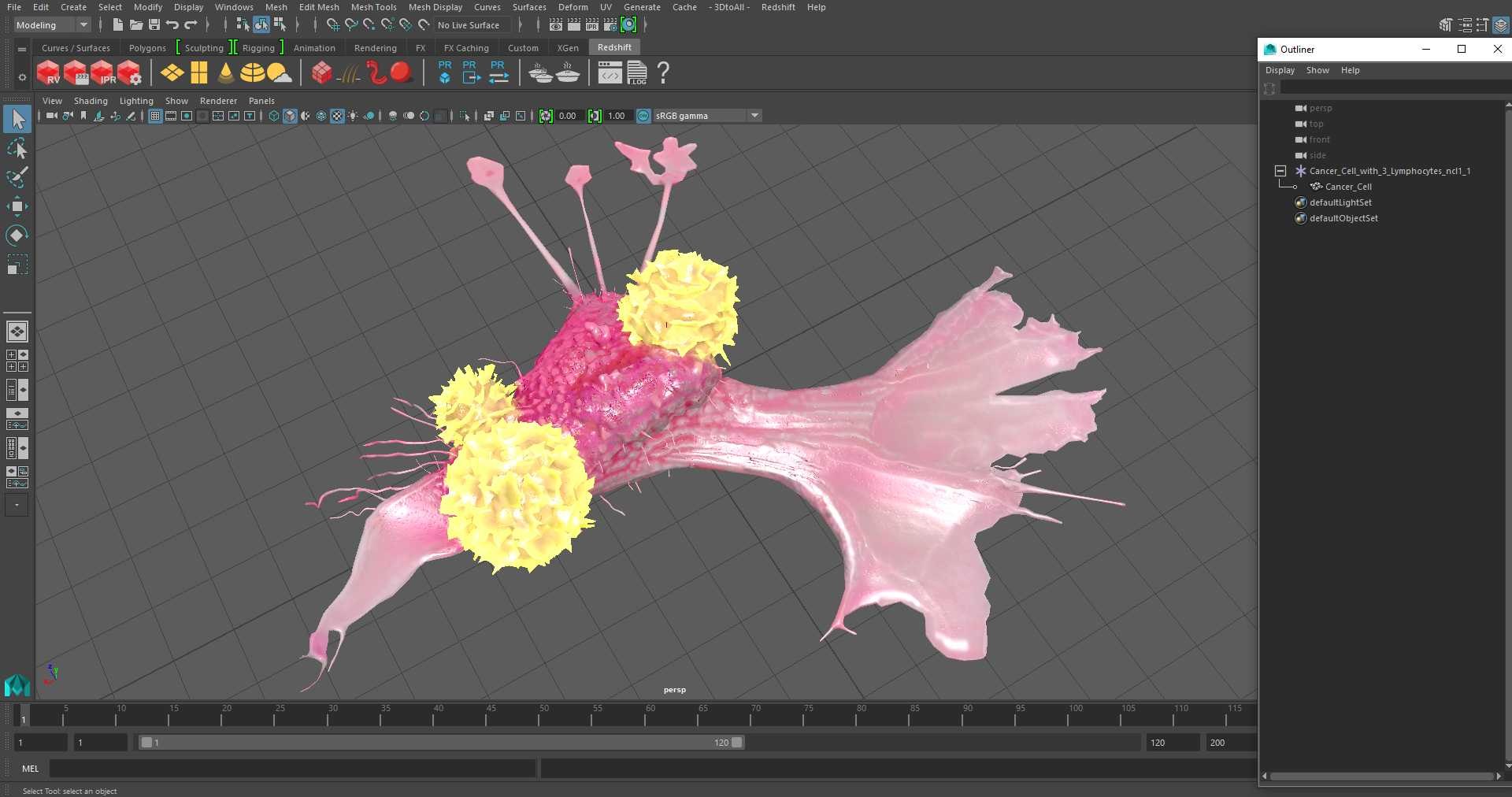 3D Model Cancer Cell With 3 Lymphocytes - TurboSquid 2220935