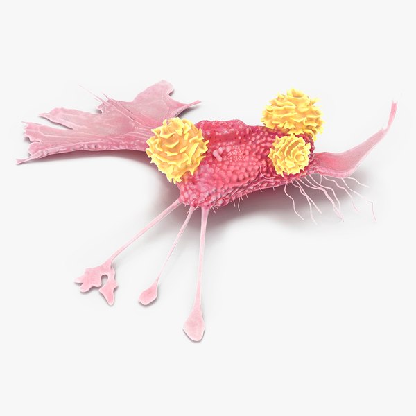 Free 3D Blood Models | TurboSquid