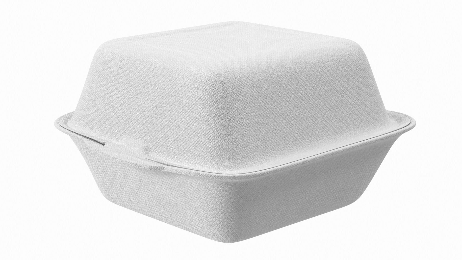 Food Container Square Closed 3D model - TurboSquid 1801987